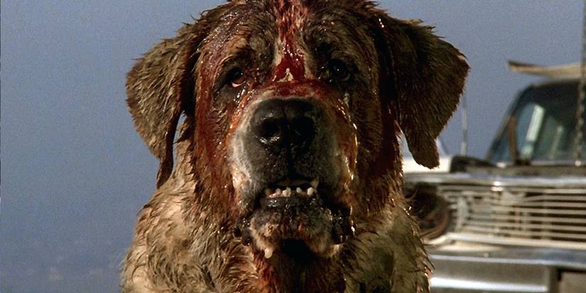 Cujo: How The Book’s Ending Is Different To The Movie (& Darker)