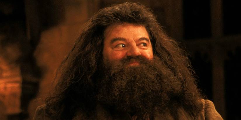 Sorry, Draco Malfoy Was Right About Harry Potter's Most Ridiculous ...