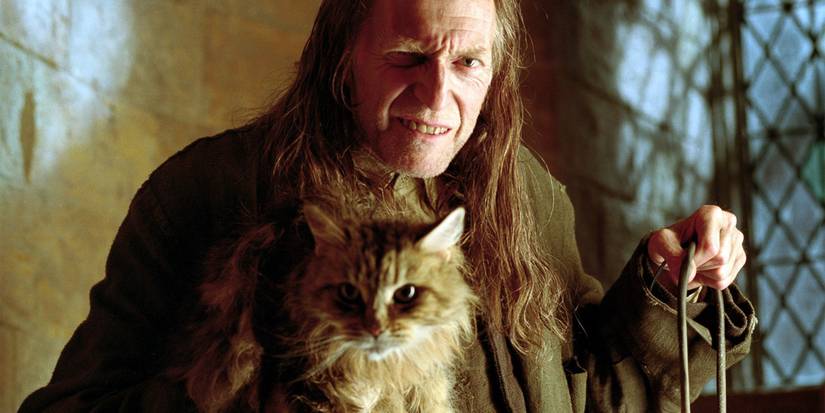 Harry Potter: Mrs. Norris Is A Maledictus Like Nagini - Theory Explained