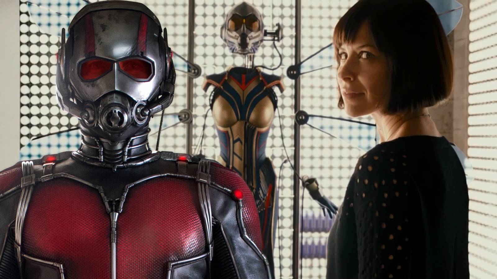 Ant-Man & The Wasp Action Is 'Mind-Blowing'