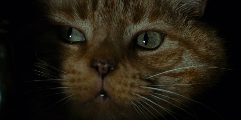 10 Most Iconic Pets In Movie History, Ranked