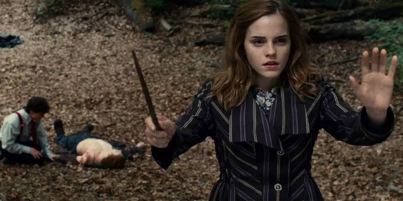 20 Things Hermione Can Do (That Harry Potter Can’t)