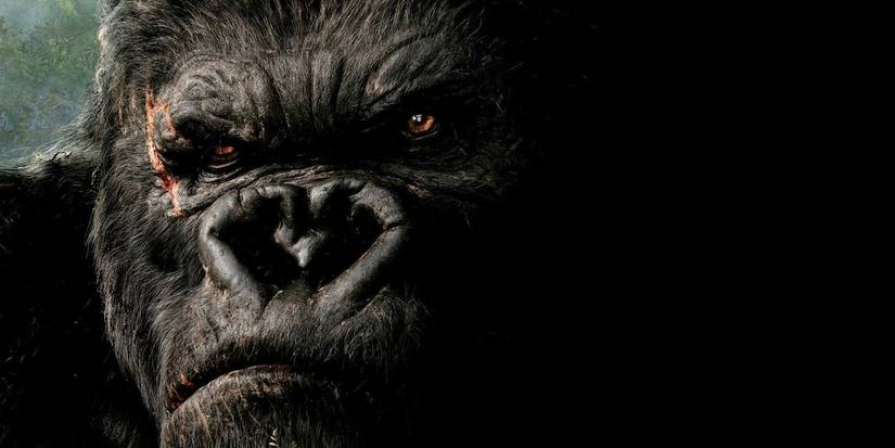 What Is A Reboot, Revival, Remake & Sequel? Differences Explained