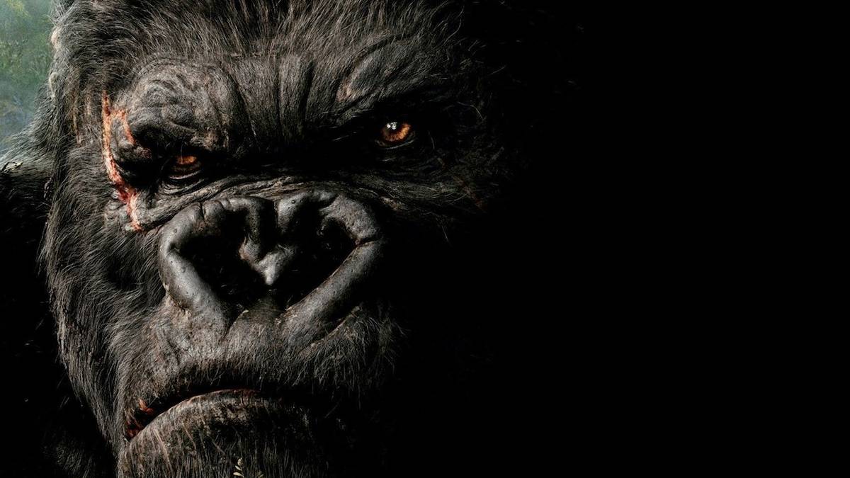 King Kong Live-Action TV Show in the Works