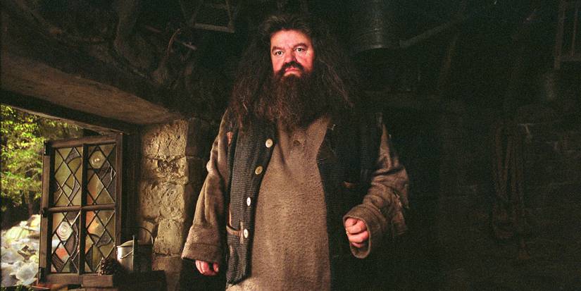 Harry Potter: Hagrid's 10 Best Quotes, Ranked