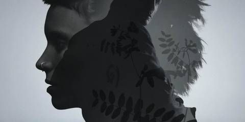 The Girl With the Dragon Tattoo Summary, Trailer, Cast, Where to Watch ...