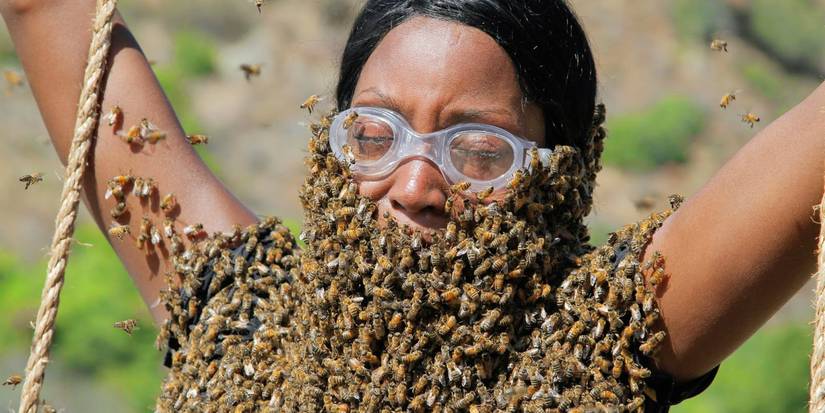 11 Little Known Facts About Fear Factor