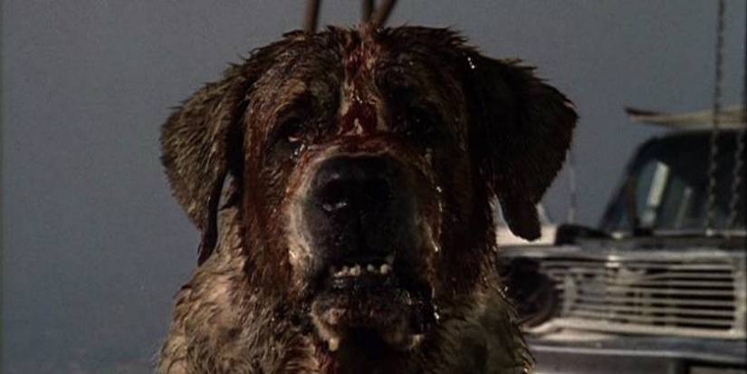 Scariest Stephen King Movie Monsters
