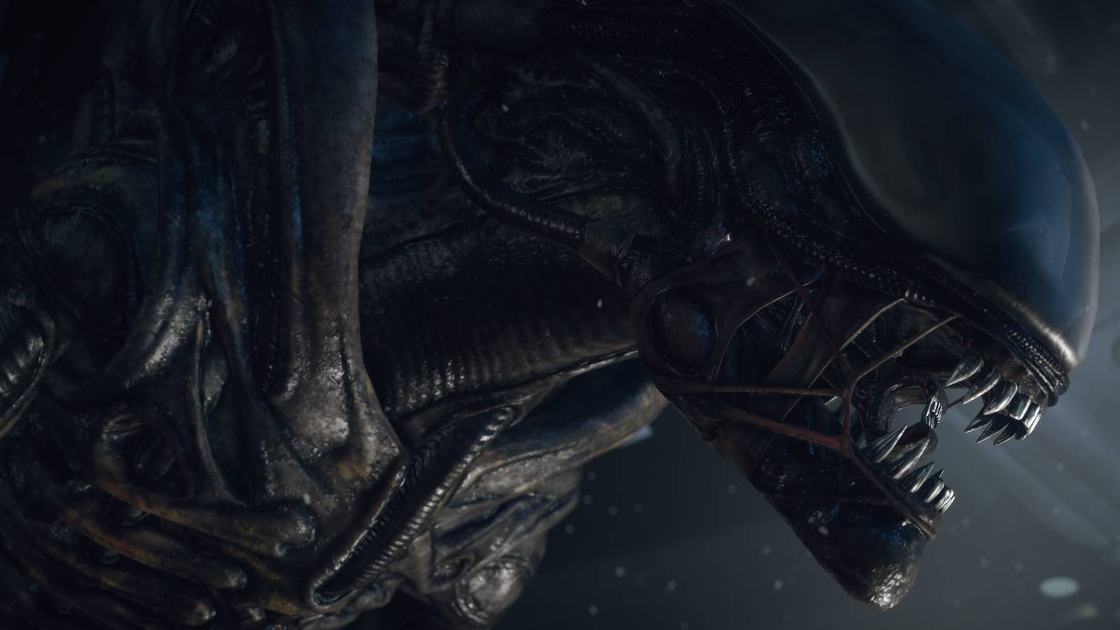 Entire Viral Alien High School Play Can Now Be Watched Online