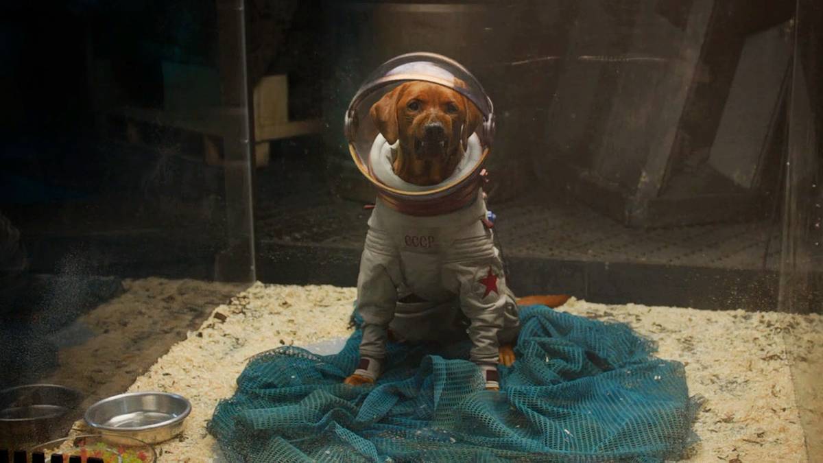 Guardians of the Galaxy 3 Star Reflects on Playing Cosmo the Space Dog