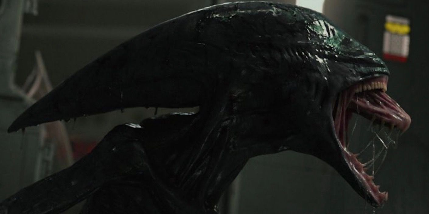 Prometheus Ending & Alien Connections Explained