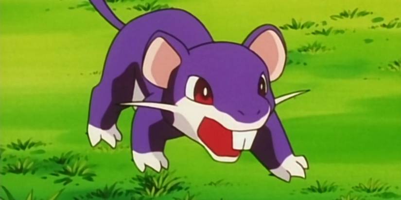 Pokémon: Every Regional Rodent, Ranked