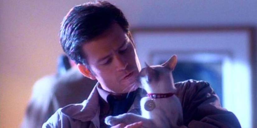 Charmed's Best & Worst Love Interests, Ranked