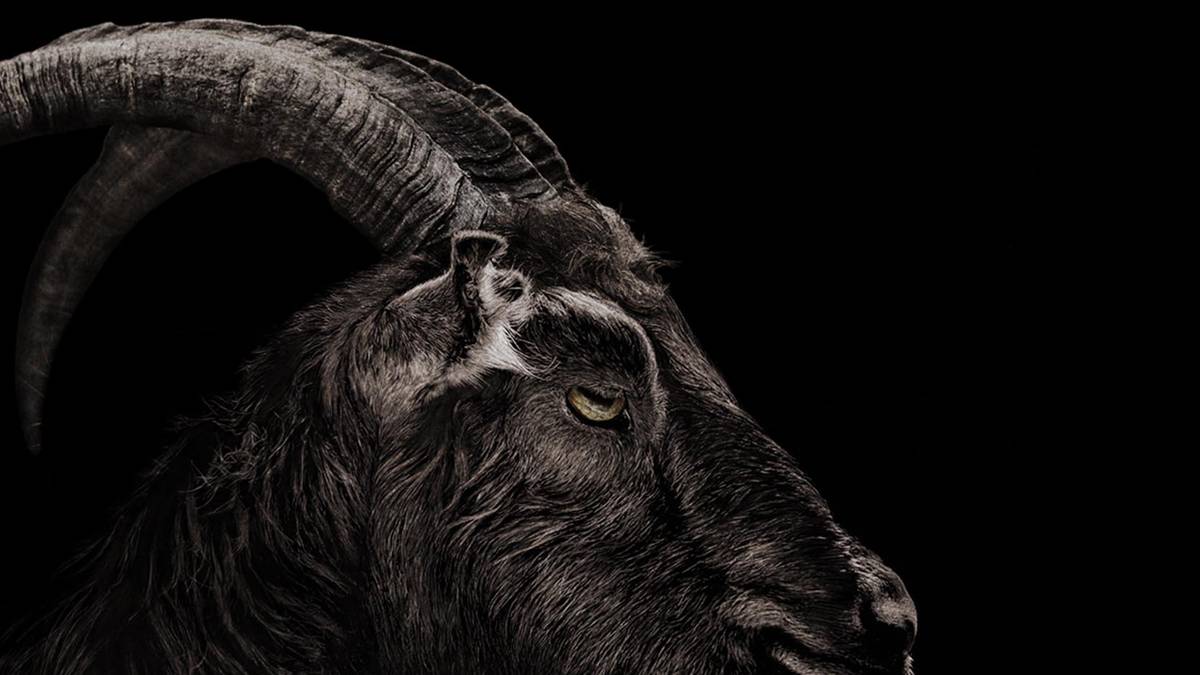Black Phillip Was A Real-Life Nightmare For The Witch Director