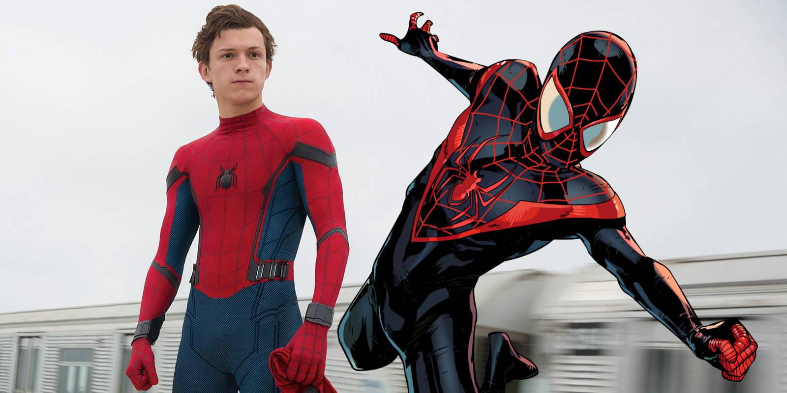Spider-Man: Miles Morales in MCU Confirmed