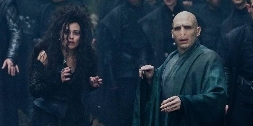 Harry Potter: 20 Wild Things Only Potterheads Know About Voldemort's ...