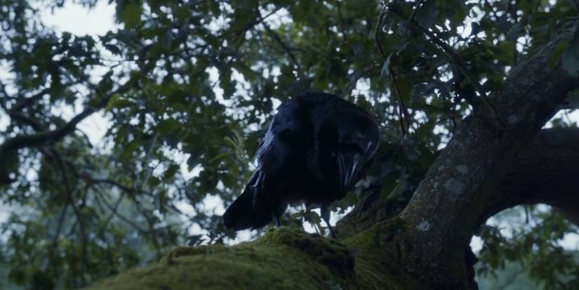 10 Facts About The Three Eyed Raven Game Of Thrones Leaves Out