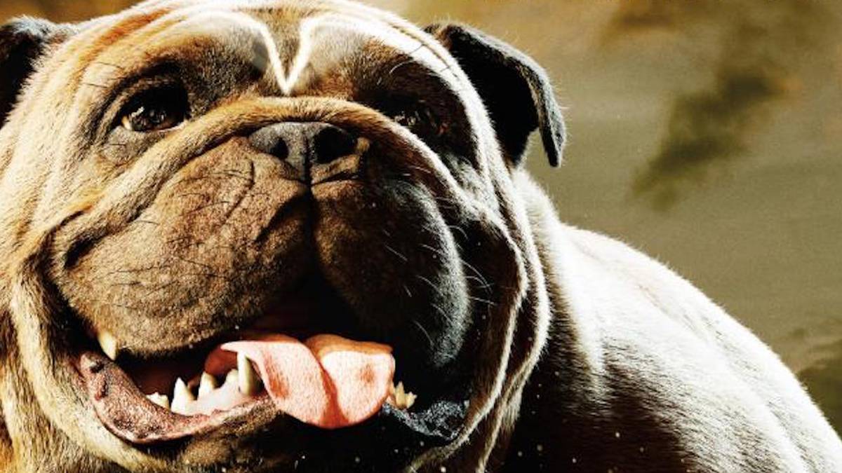 Inhumans: Marvel Releases New Lockjaw Poster