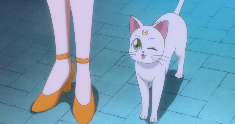 Sailor Moon: 19 Secrets About Luna And Artemis' Relationship