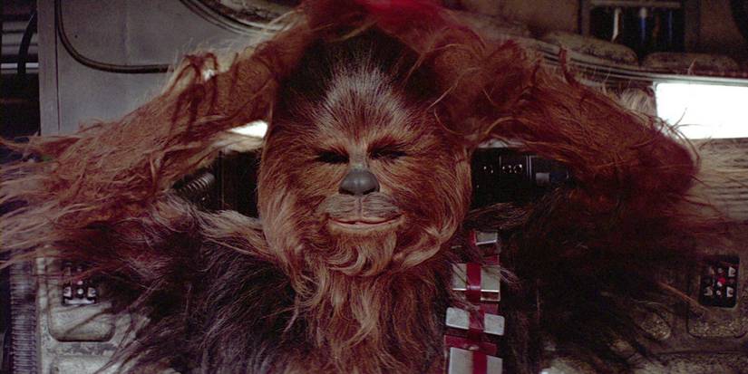 Star Wars: 10 Archetypes Of The Main Characters
