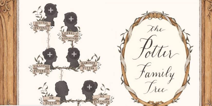 Harry Potter: Secrets About The Potter Family