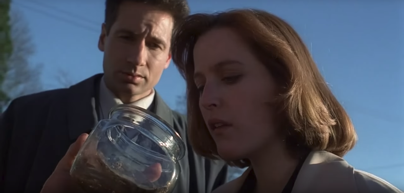 The X-Files: 10 Things You Didn't Know About Fox Mulder