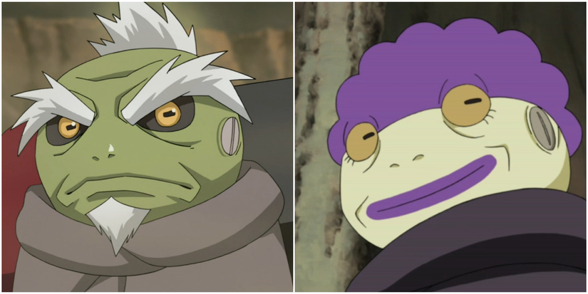Naruto: 10 Best Animal Companions, Ranked