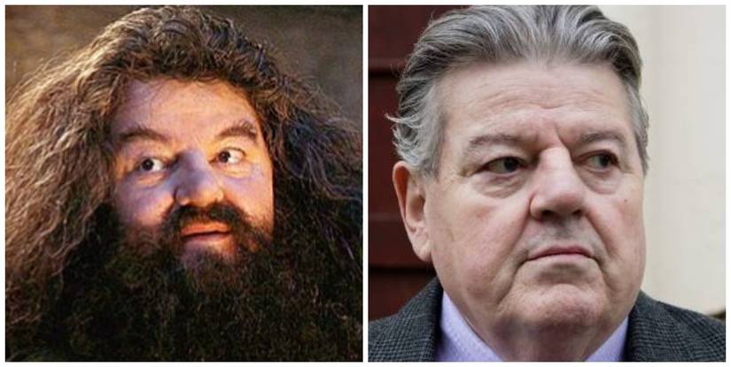 Alfred Burkeharry Potter