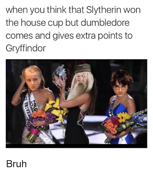 Gryffindor Slytherin Memes