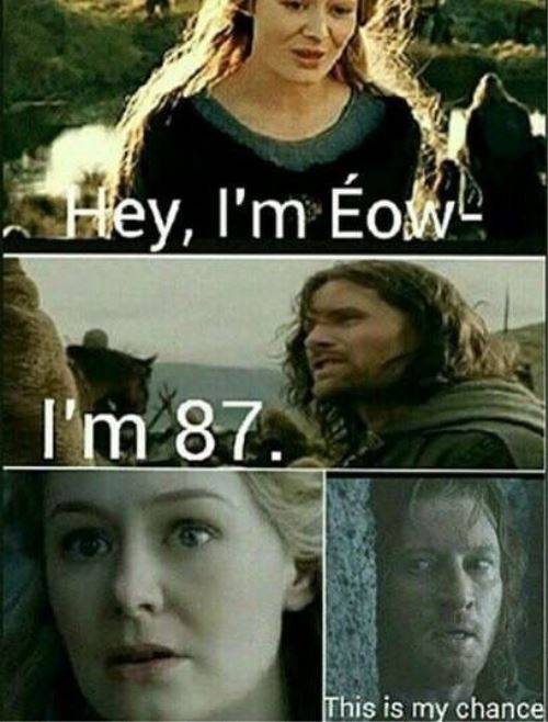 Lord of the Rings: 16 Hilarious Movies Vs Books Memes Only True Fans ...