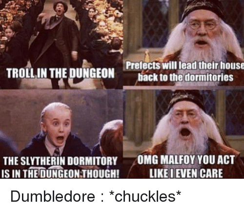 Harry Potter: 25 Hilarious Gryffindor Vs Slytherin Memes
