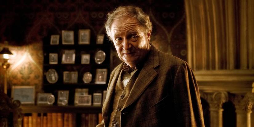Harry Potter: One Quote From Each Professor That Perfectly Sums Up ...