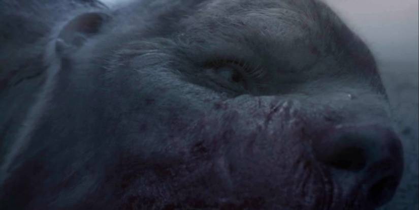 The Terror: 5 Things That Are Historically Accurate (& 5 Things That ...