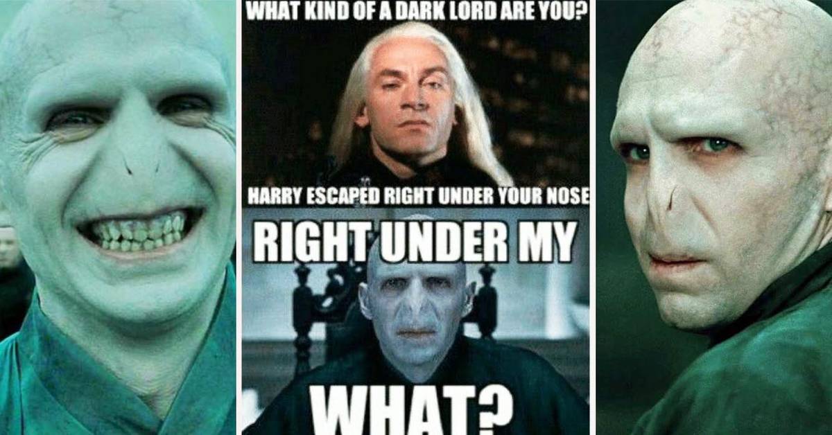 Top 25 Harry Potter Memes Voldemort Harry Potter Memes