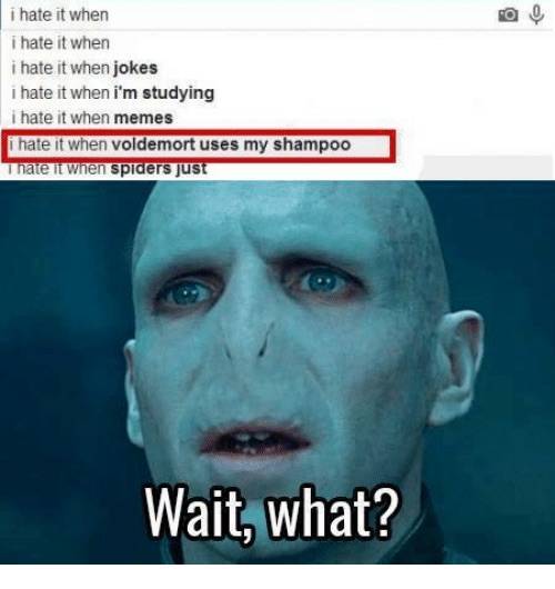Harry Potter: 25 Memes That Show That Voldemort Makes No Sense
