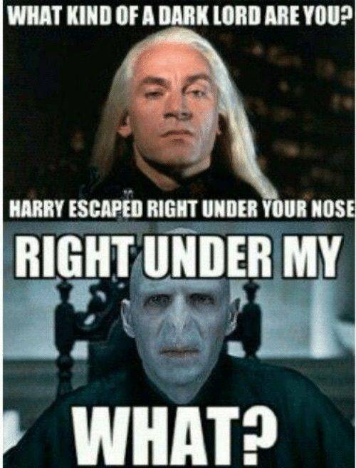 Harry Potter: 25 Memes That Show That Voldemort Makes No Sense