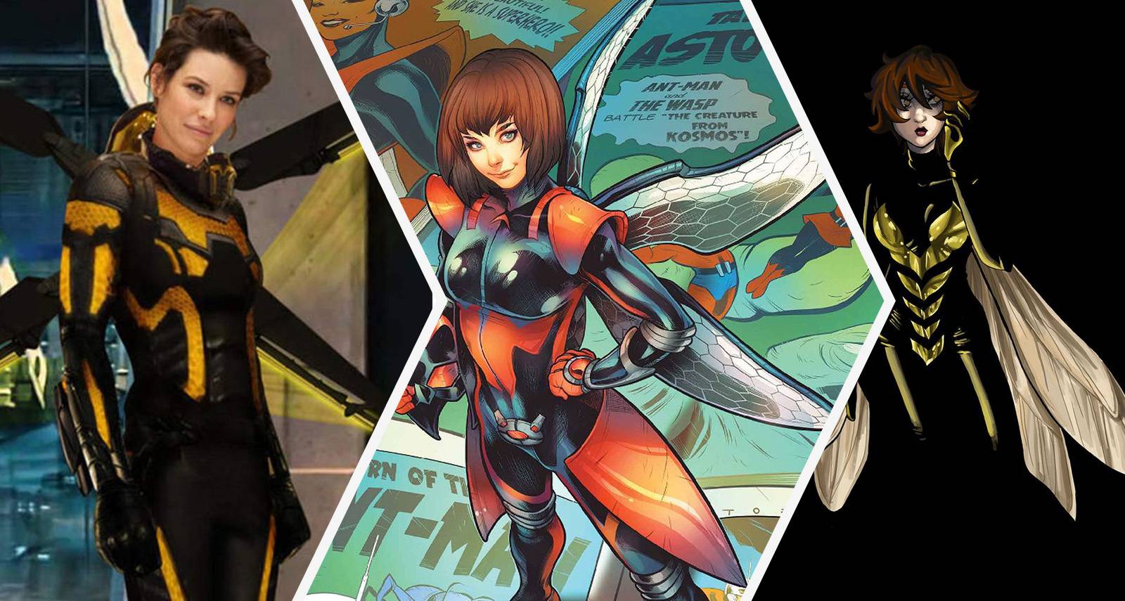 20 Weird Things About The Wasp’s Body