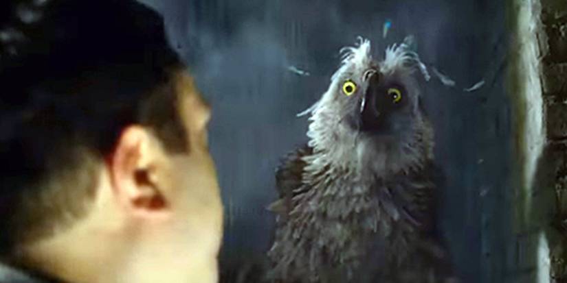 Harry Potter: 20 Wild Things Only Potterheads Know About Voldemort's ...