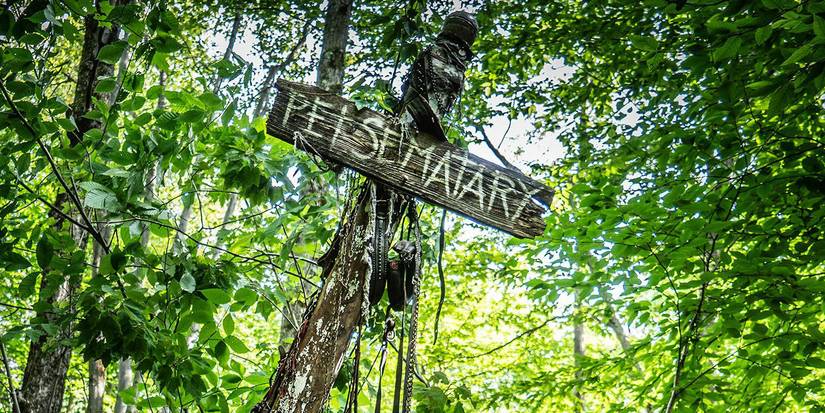 Every Stephen King Movie & TV Remake, Ranked