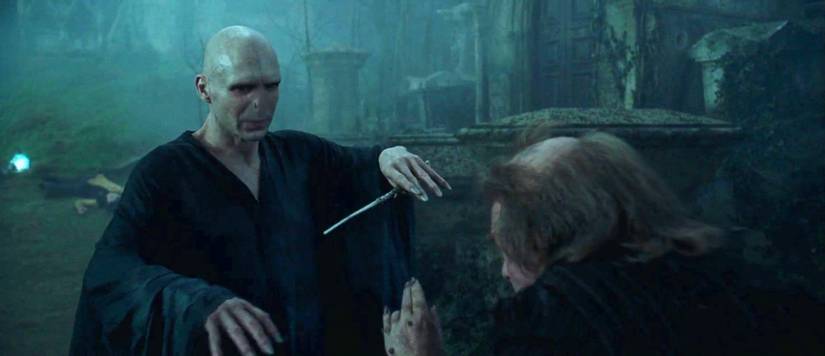 voldemort animagus