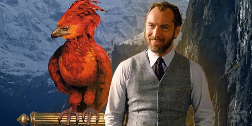 Harry Potter Wandlore: 10 Things You Didn't Know About Phoenix Feather ...