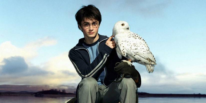 Harry Potter: 10 Things You Didn’t Know About Hedwig