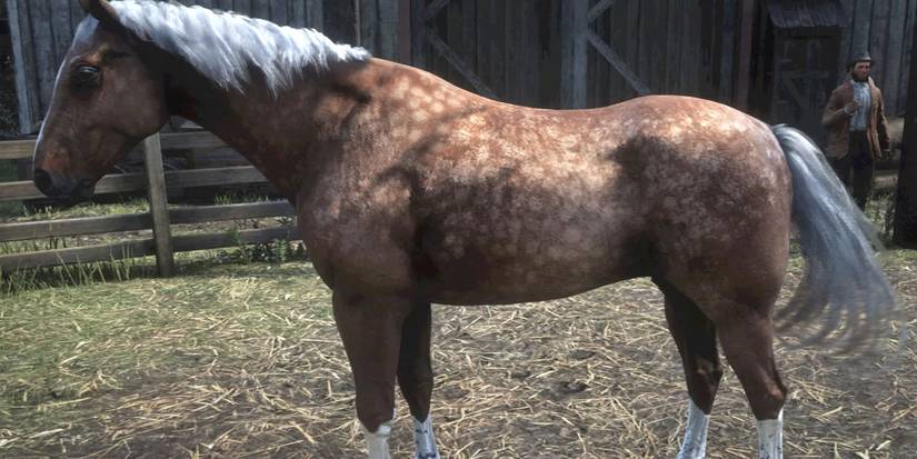 All 19 Red Dead Redemption 2 Horses, Ranked From Worst To Best