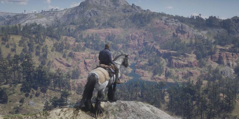 All 19 Red Dead Redemption 2 Horses, Ranked From Worst To Best