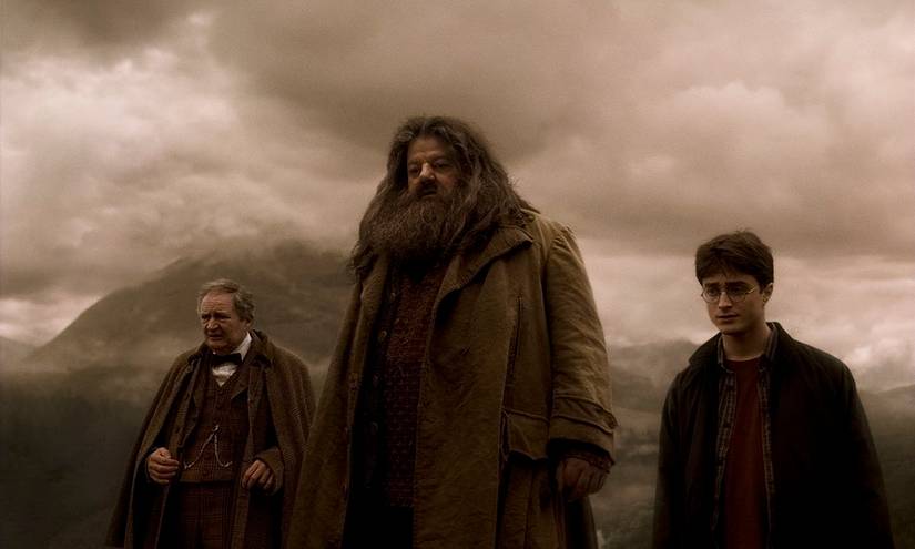 The Myers-Briggs Personality Types Of Hogwarts Professors