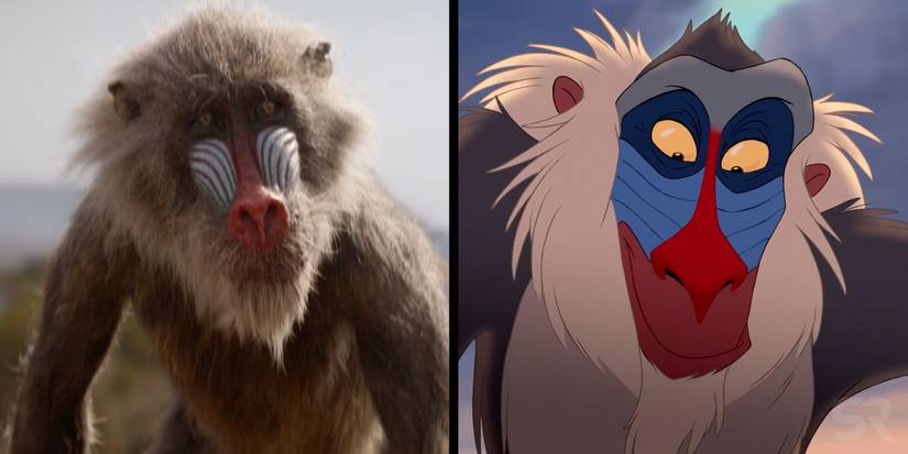 What The Lion King's Opening Lyrics REALLY Mean
