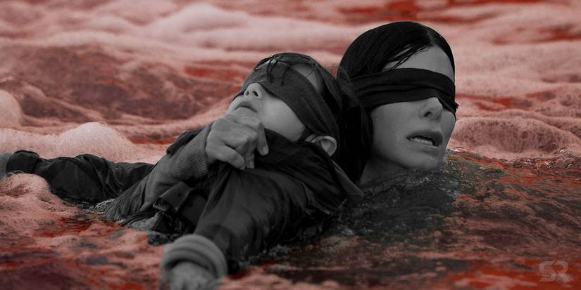 Bird Box: 5 Things They Changed From The Books, And 5 Things They Kept
