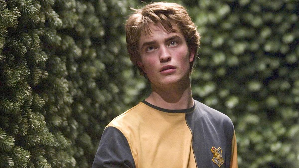 HBO's Harry Potter Series: Fixing The Cedric Diggory Story Mistake