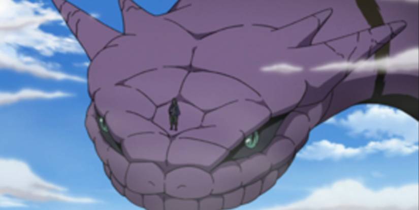 Naruto: 10 Best Animal Companions, Ranked