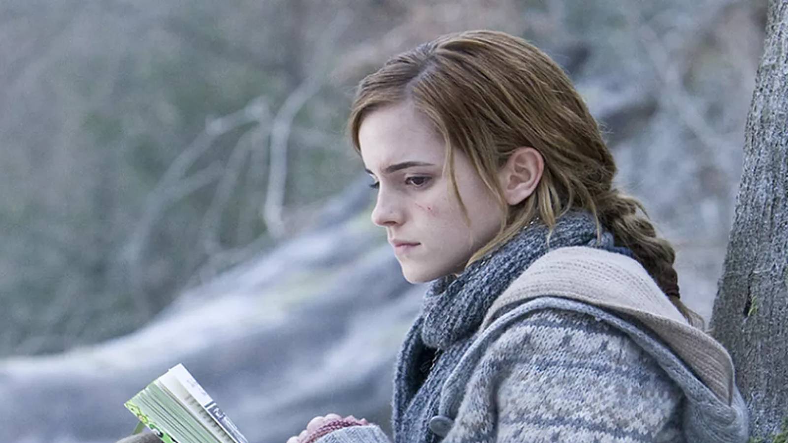 Harry Potter: 20 Things Hermione Did Between Deathly Hallows And Cursed ...